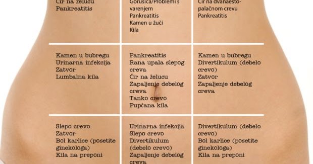Boli vas stomak? Ova slika će vam otkriti šta je tačno u pitanju ...