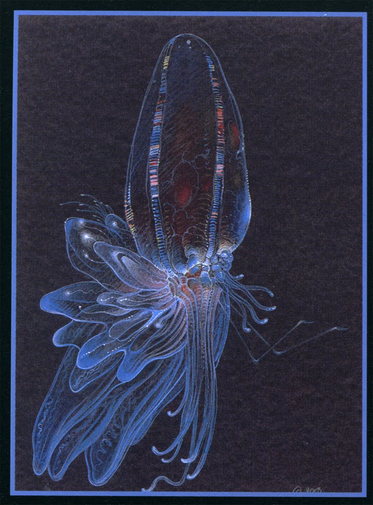 Furahan Biology and Allied Matters: Moebius, Major Gruber, and Rusps ...