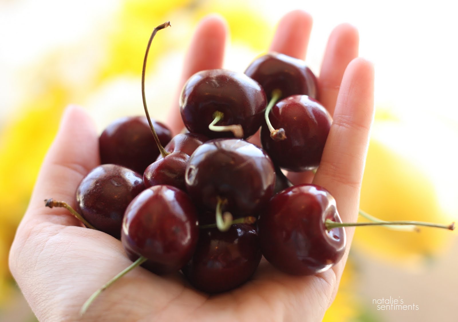 natalie's sentiments: Summer so far.