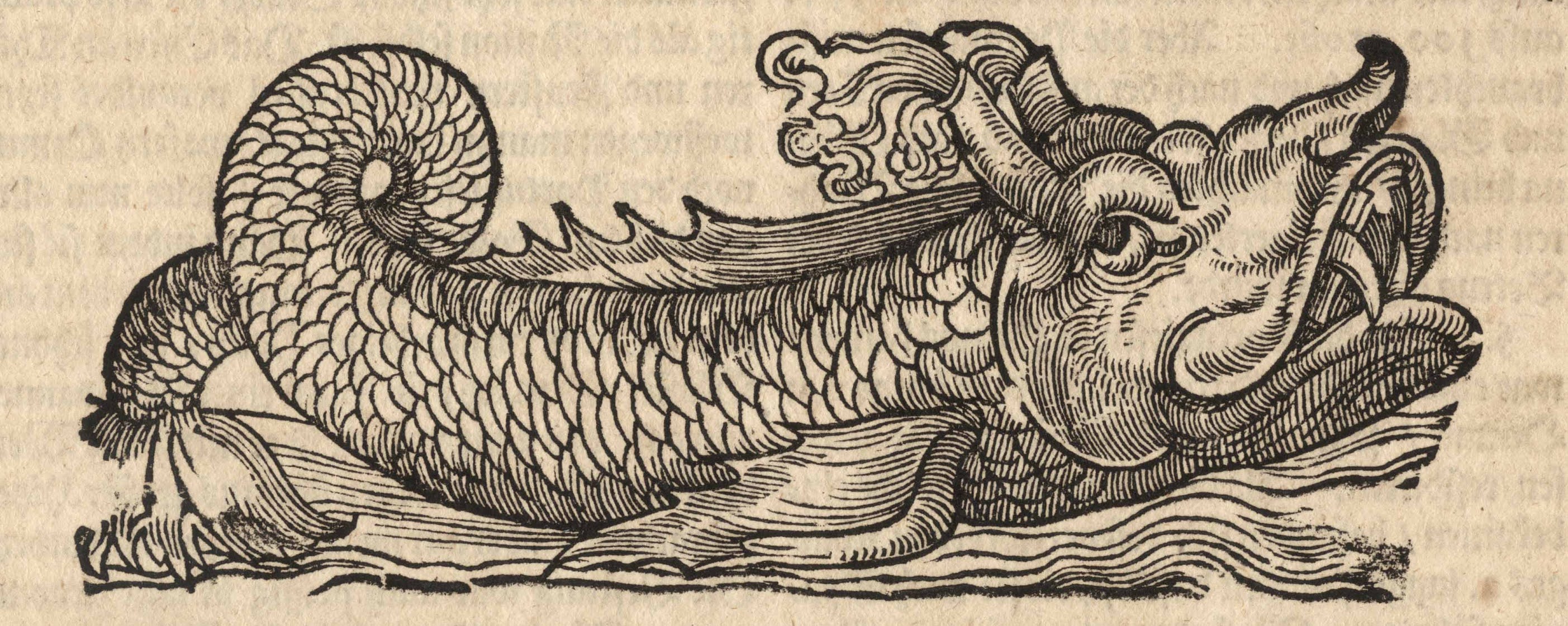 Prints and Principles: After Konrad Gesner’s woodcut, “Caspian Sea ...