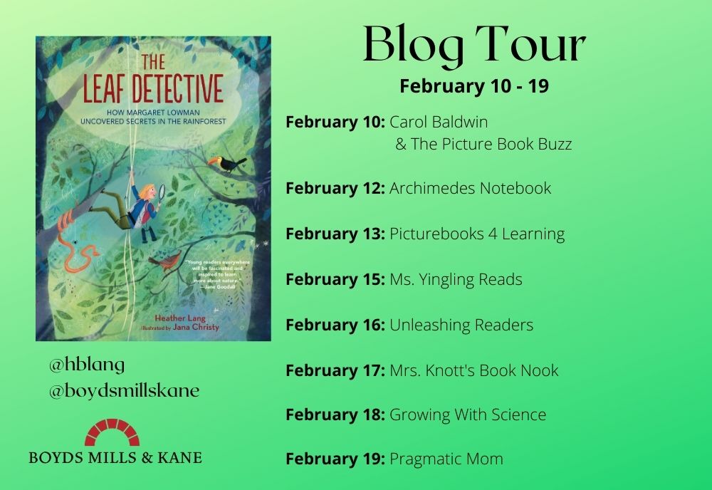 Carol Baldwin's Blog: THE LEAF DETECTIVE: A Picture Book Review