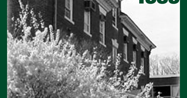 PLUMDUSTY'S PAGE: The Replacements 1989-04-08 Cook College New ...