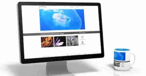 Affiliate Marketing Knowledge: How Do I Build My Website?