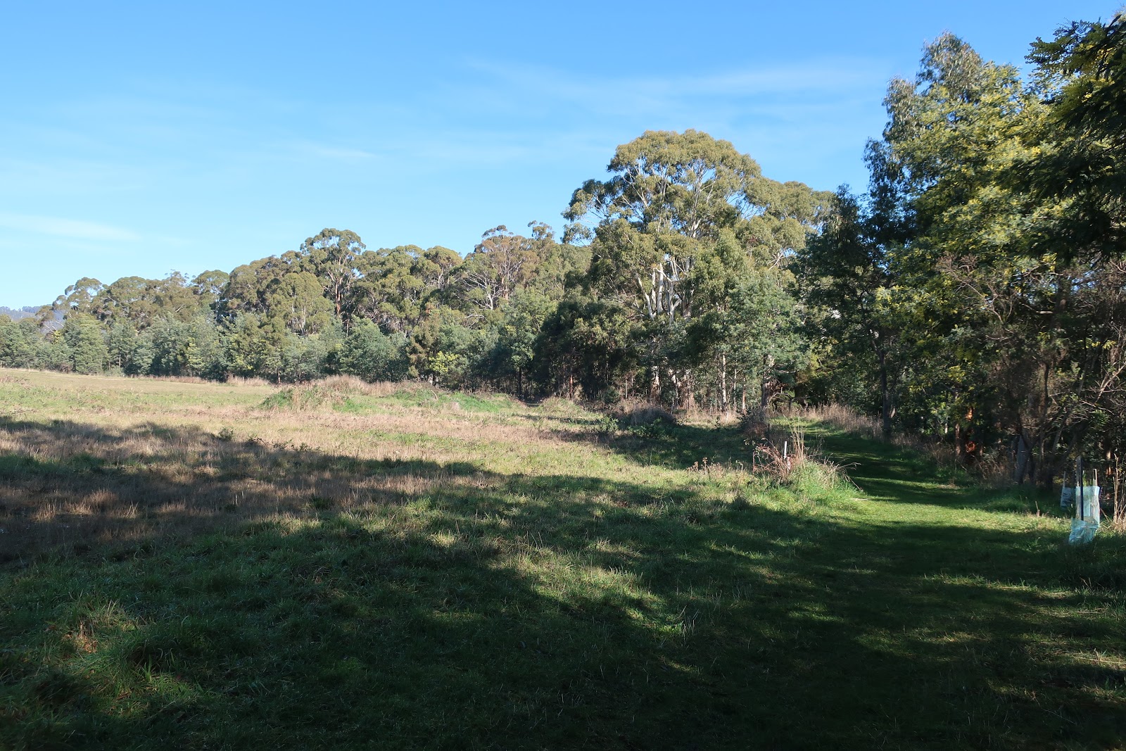 Ramblers : Margate Tramway and Rivulet Tracks