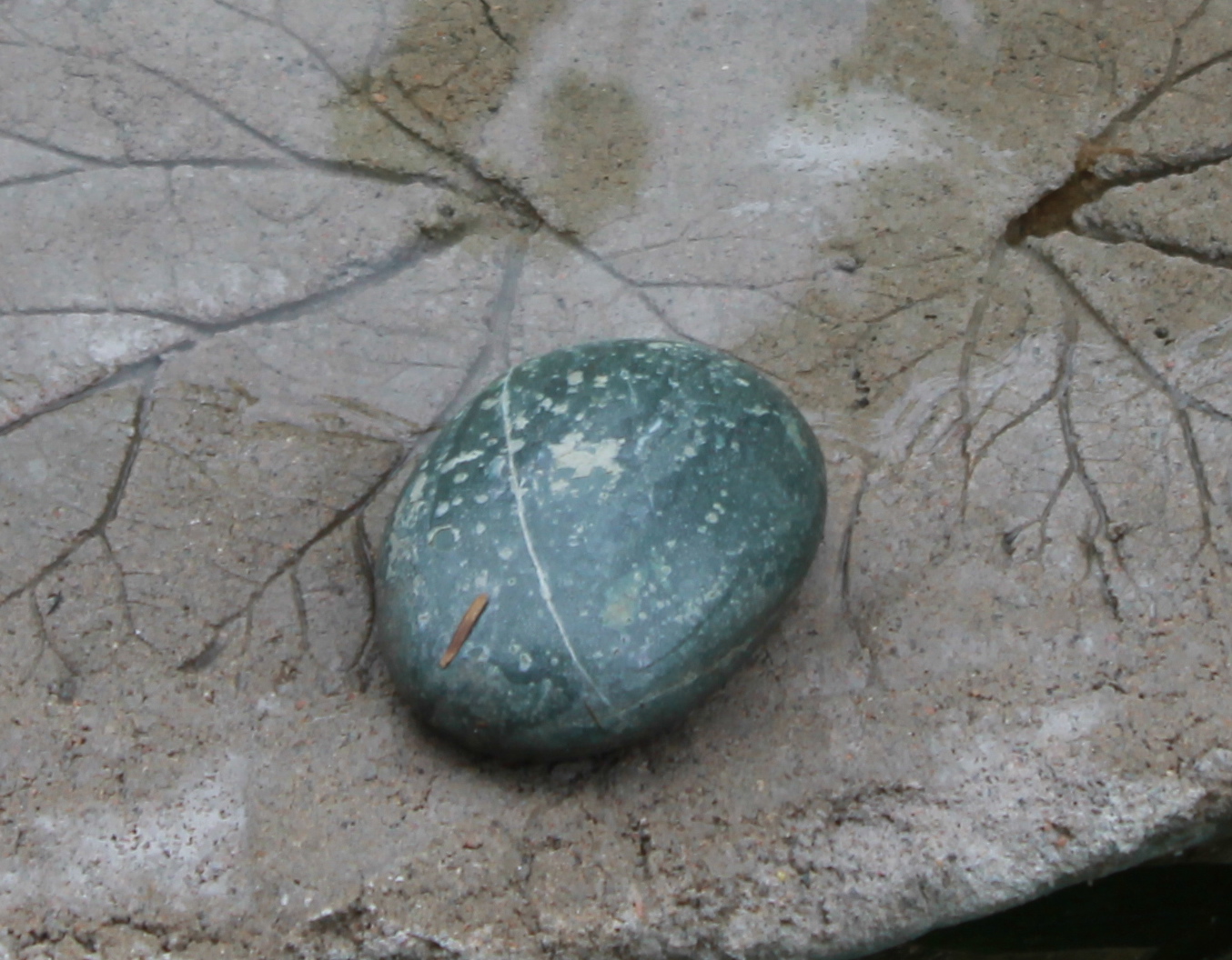 elämää luonnossa: Mikä kivi esti matkamme Liideniin?