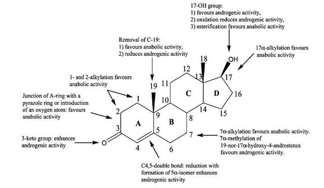 KIMIA BAHAN ALAM: Potensi Pemanfaatan steroid untuk makhluk hidup
