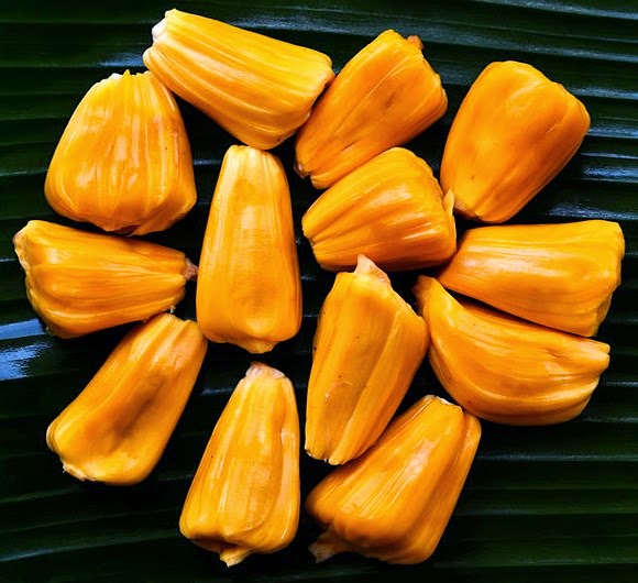 Manfaat Buah Nangka Serta Kandungan Nutrisinya