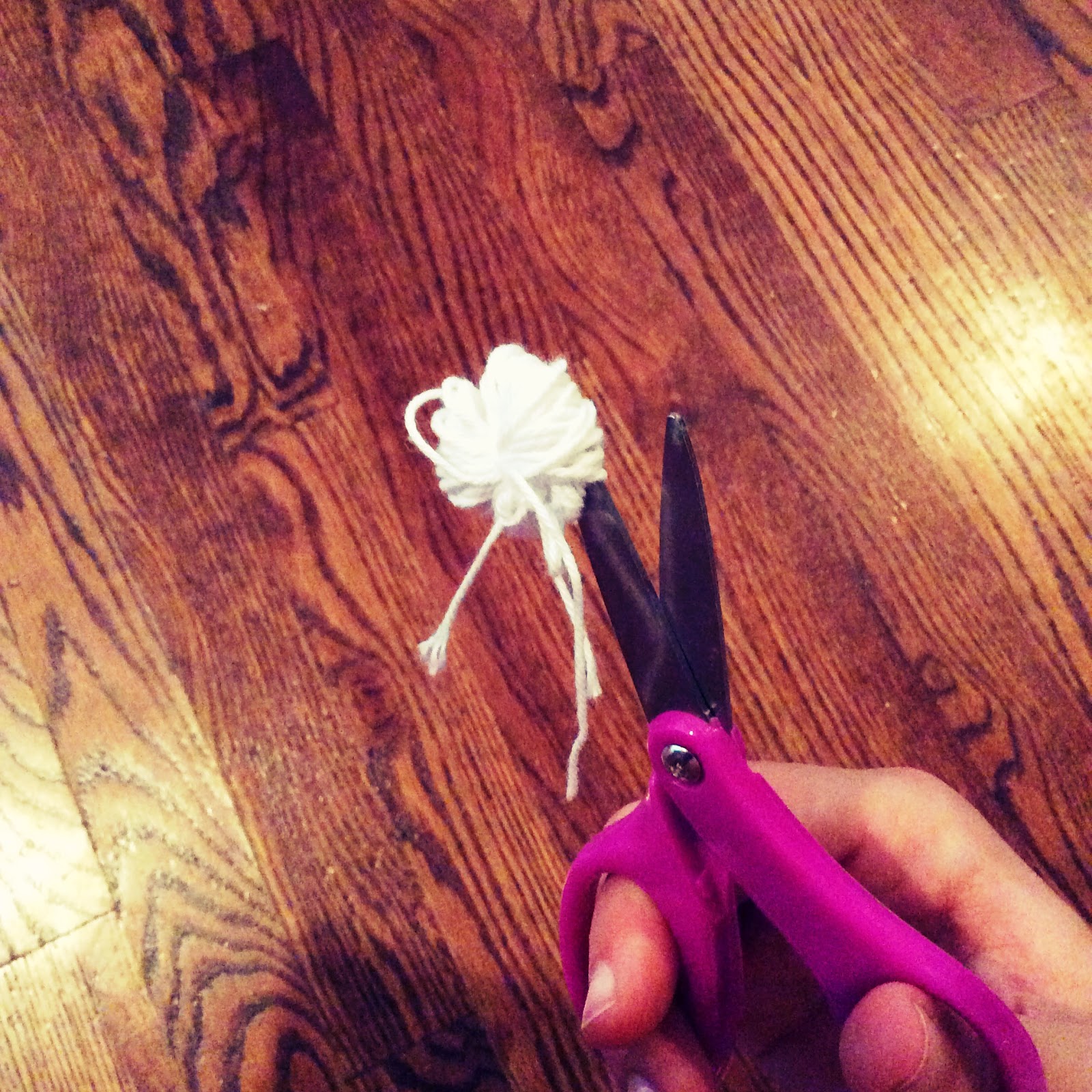 The Endless Diary Of A Sorority Girl