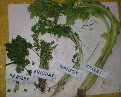 My Body. My Life . My Decision.: Are parsley and kinchay / kintsay the ...