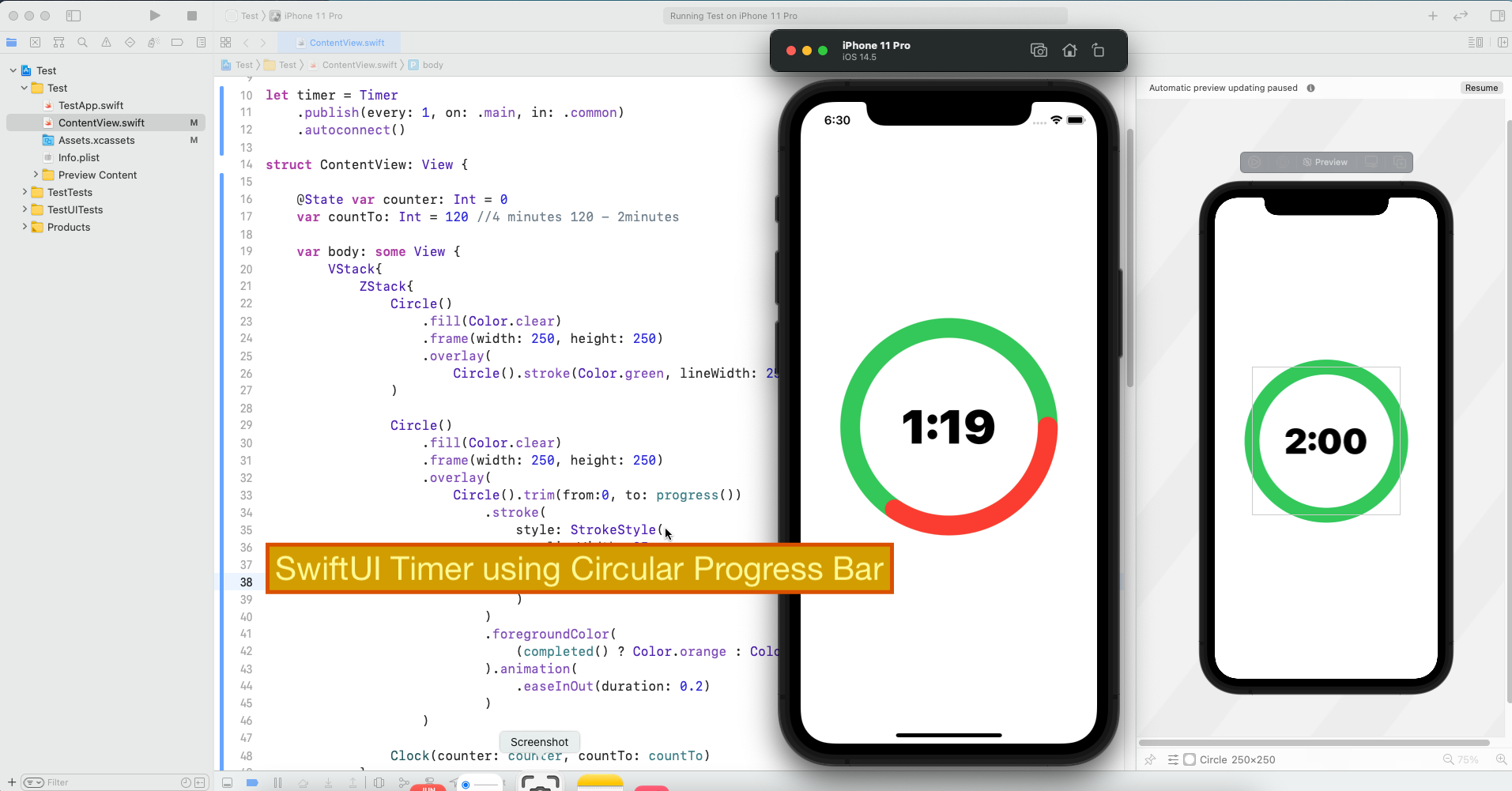 Swiftui Timer Using Circular Progress Bar Tutorial101