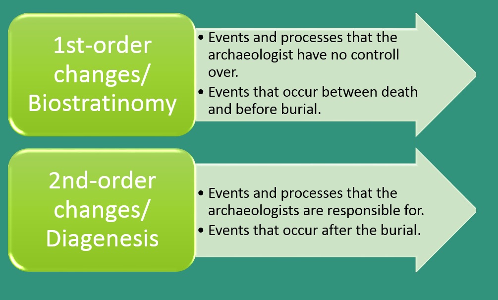 A Step Through History: Taphonomy