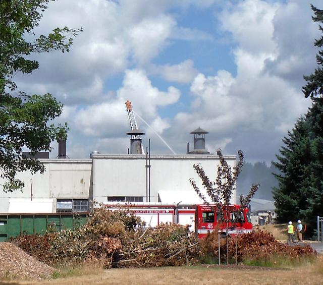 Shoreline Area News: A dog's eye view of the Fircrest fire fight