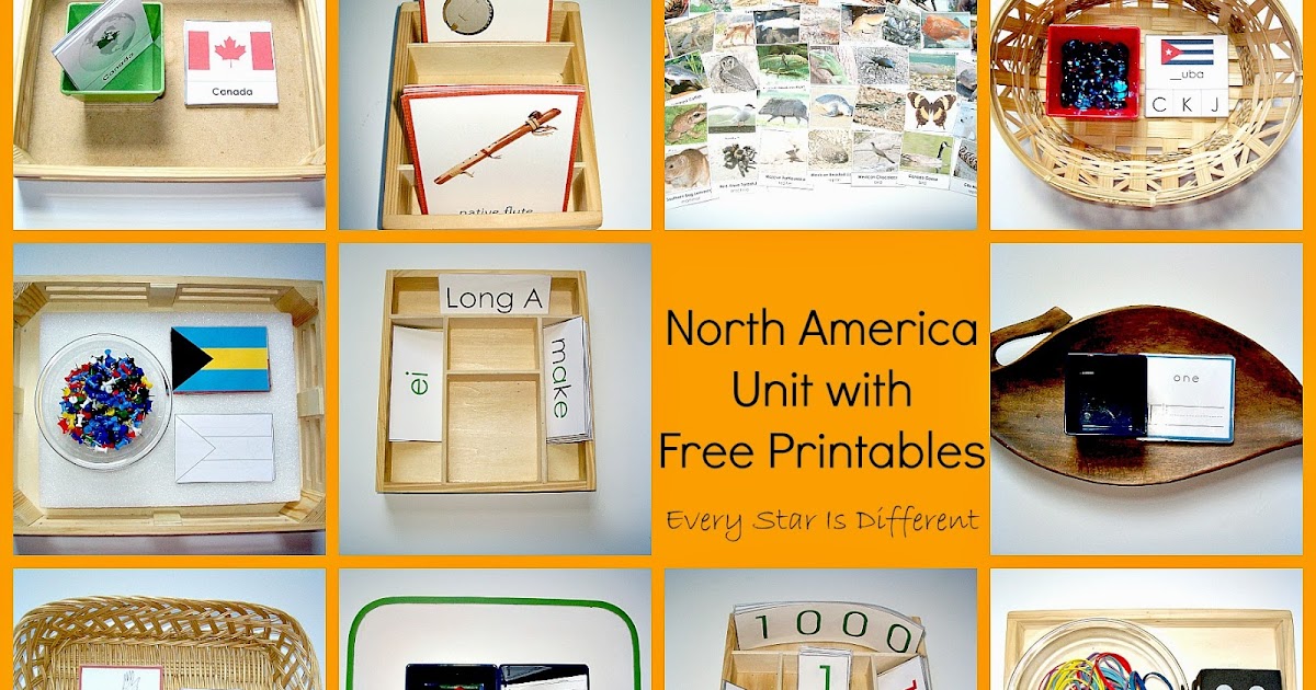 North America Unit with Free Printables - Every Star Is Different
