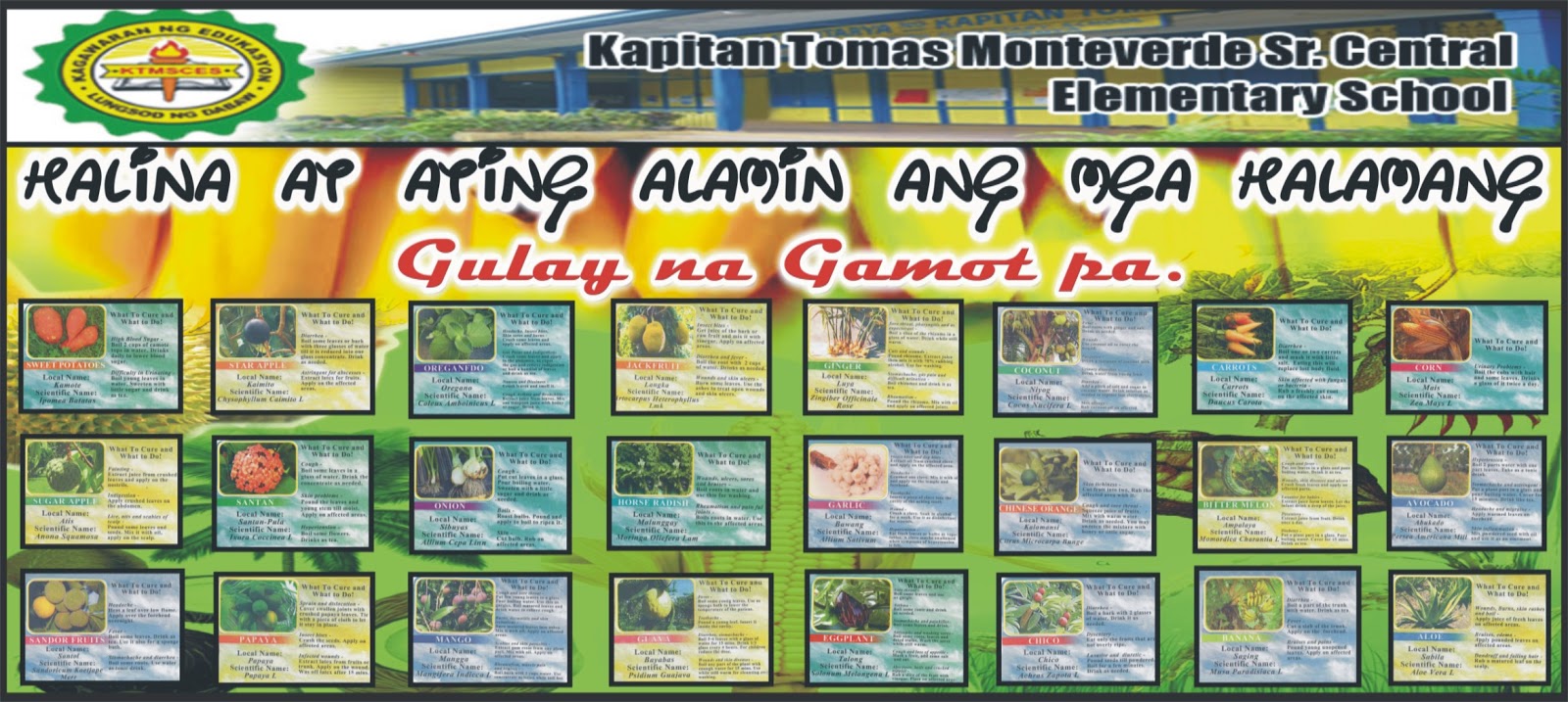 WELCOME TO MY BLOGSITE: 2015