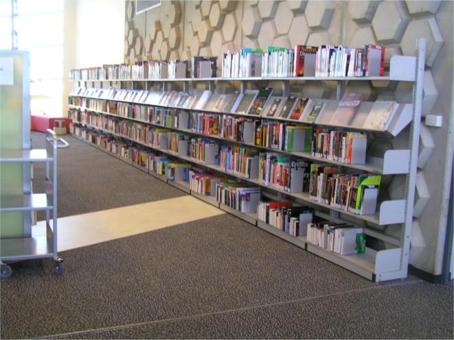 A Taste for Reading: Task 4 – Library Shelving, Signage & Genre Arrangement