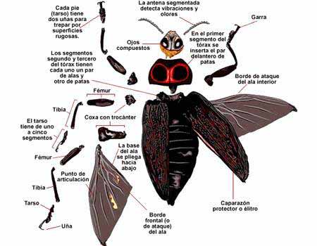 LAS CIENCIAS UN MUNDO POR EXPLORAR: 05/05/12