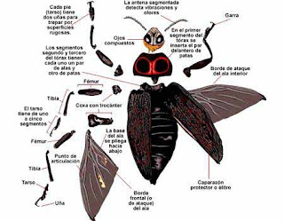 LAS CIENCIAS UN MUNDO POR EXPLORAR