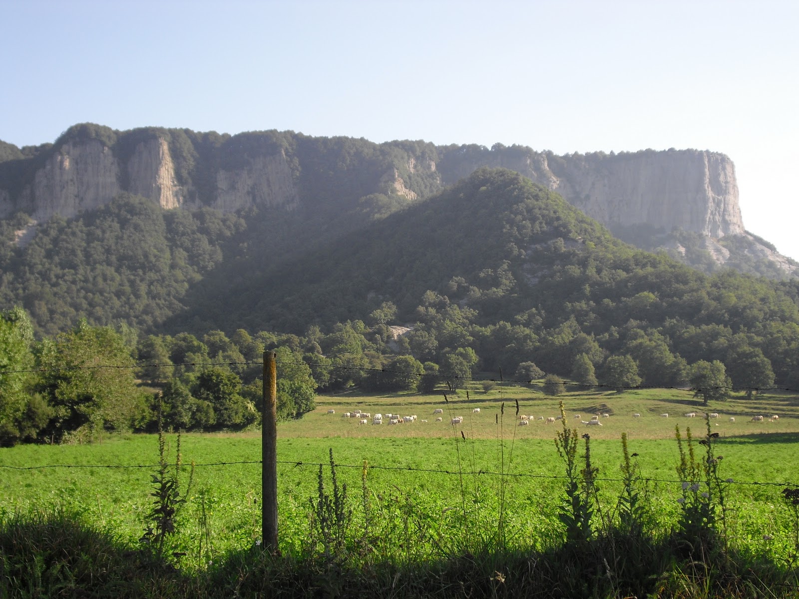 Carrecaminos: Cantonigròs - Falgars