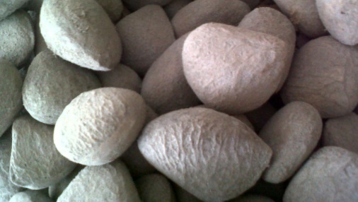 Anim Agro Technology: BUAH KEPAYANG - KENALI DIA