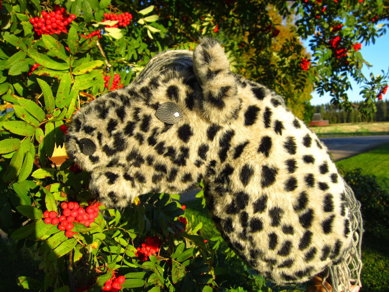 Kht Chiaron elämää: Välityönä Leopardia