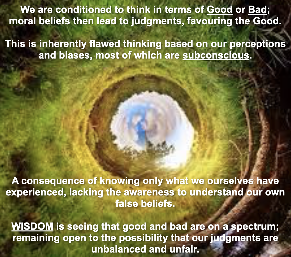 The Rabbit Hole: Adventures in Awareness Expansion: Selfish Survivor