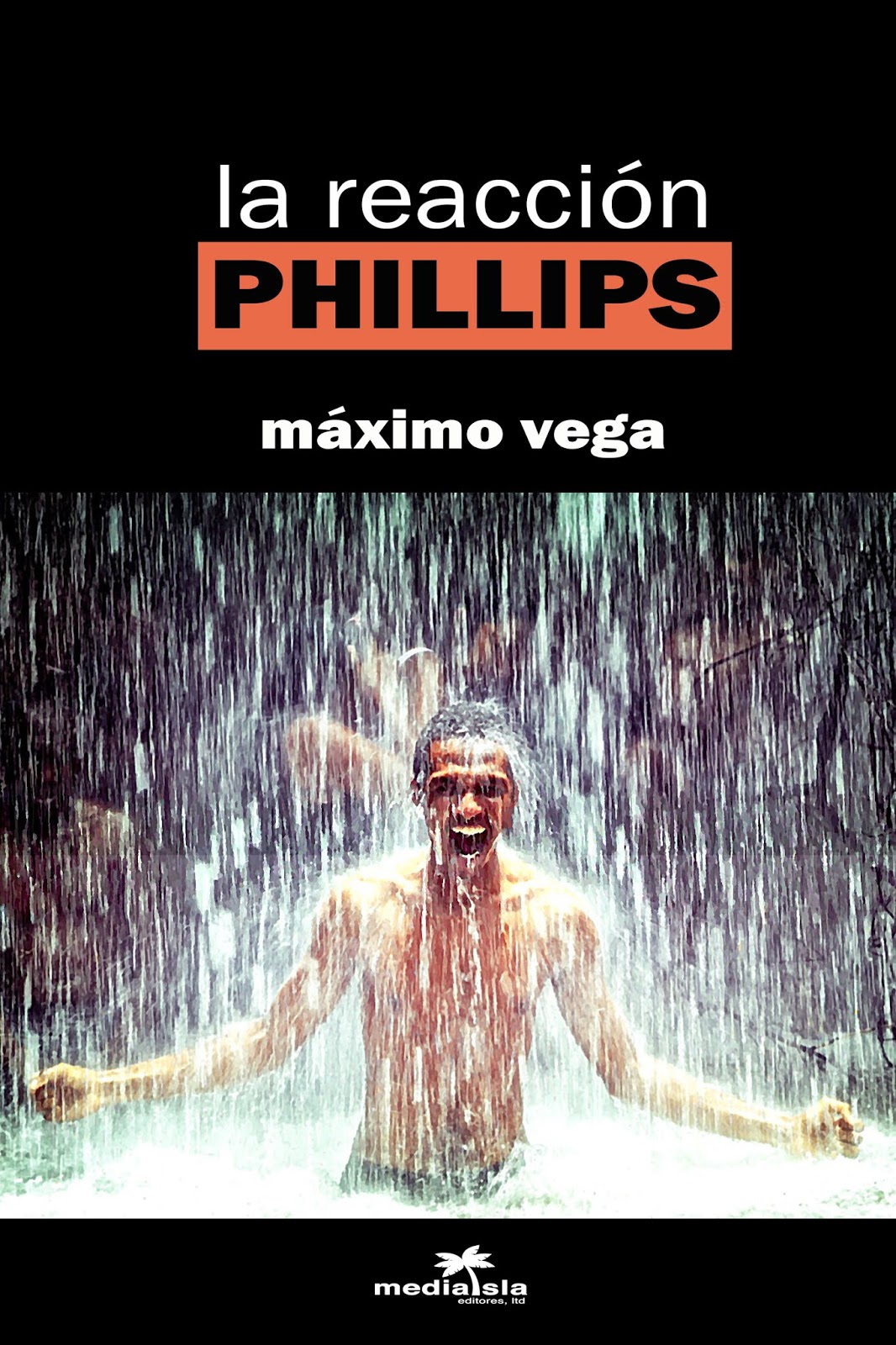 Máximo Vega: libro de maximo vega juguete de madera