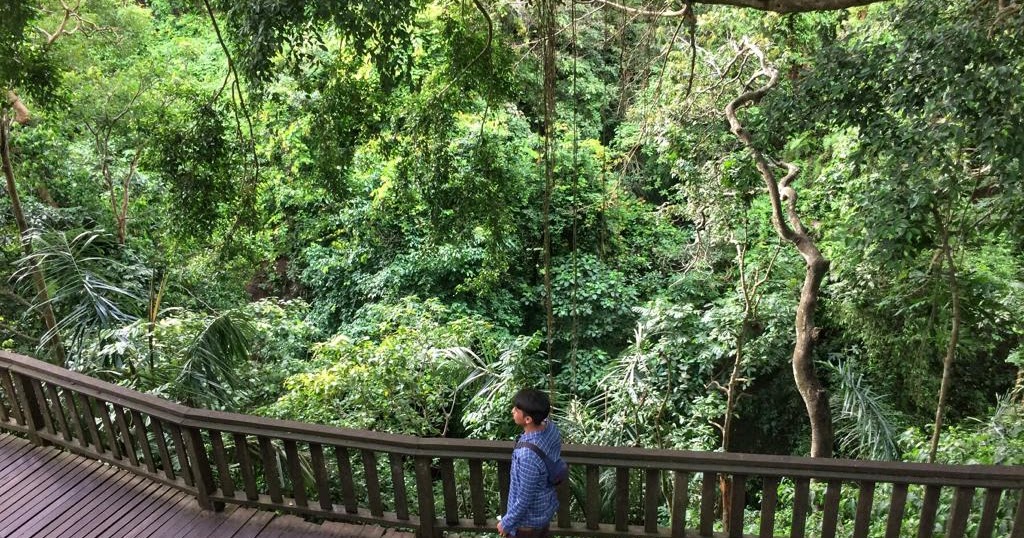 Rayyan Ray: Sangeh - Monkey Forest, Bali