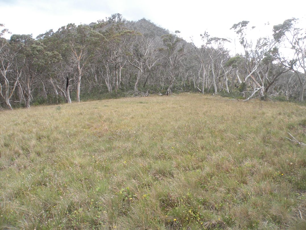 Trails and Tracks: Trip Report: Mt Clear Traverse