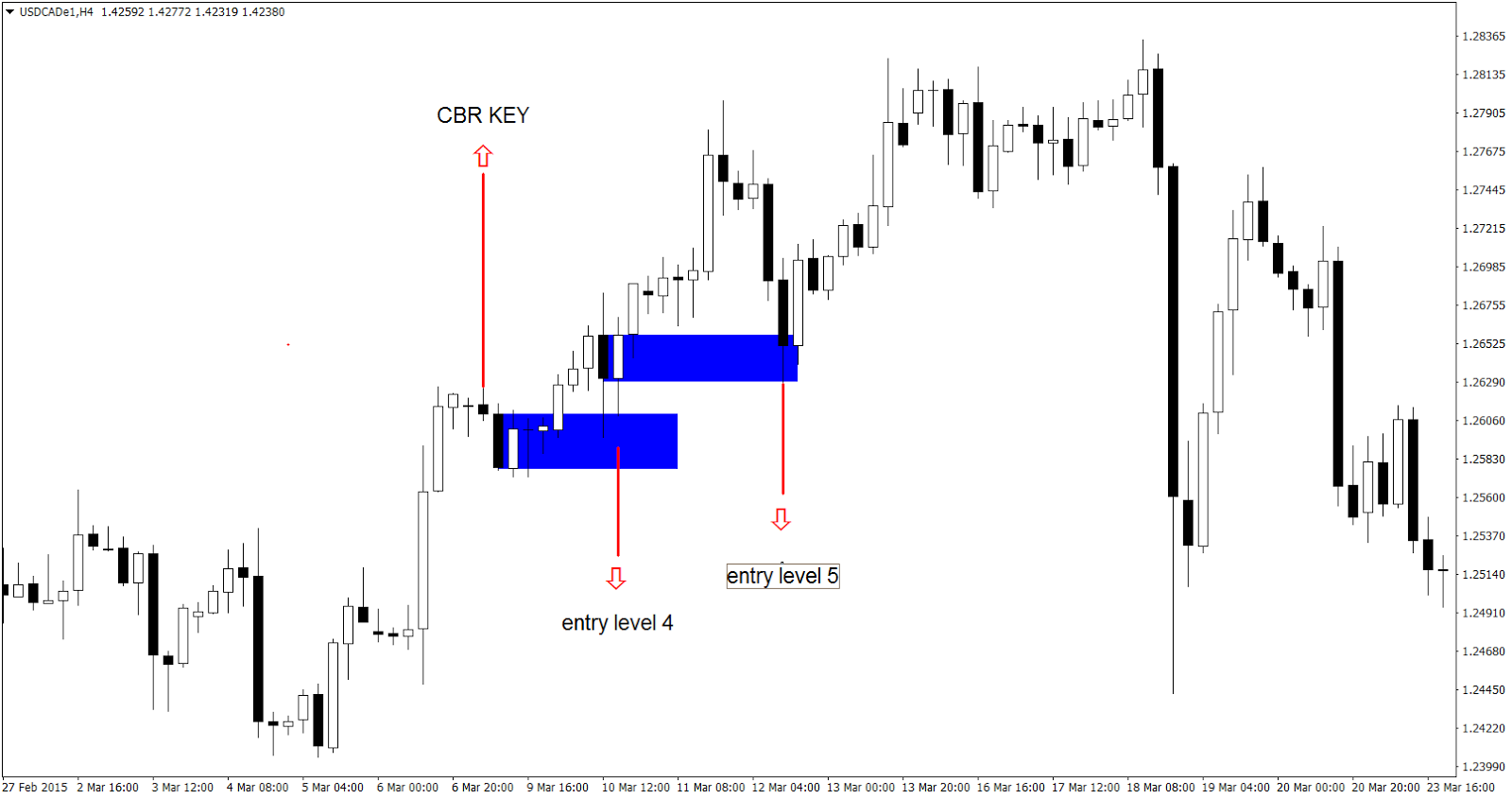 Contoh Dan Cara Entry Level Fibo Musang - Belajar Forex