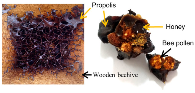 Apitherapy News: Bee Pollen and Propolis May Help Treat Breast Cancer