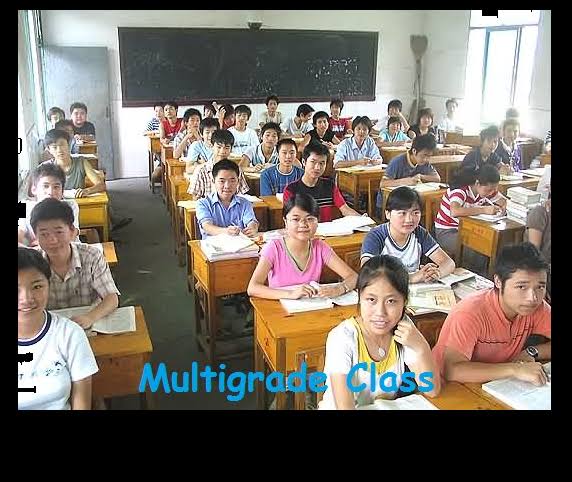 Learning within Multigrade Classroom