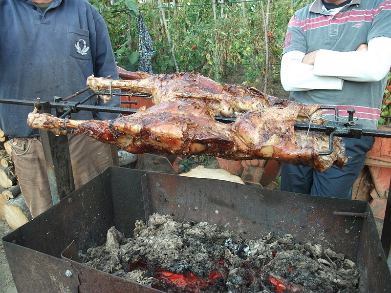 Myra's kitchen: Miel la protap