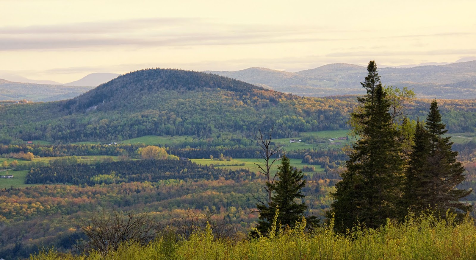 Carol's View Of New England: Spring in the Northeast Kingdom of Vermont