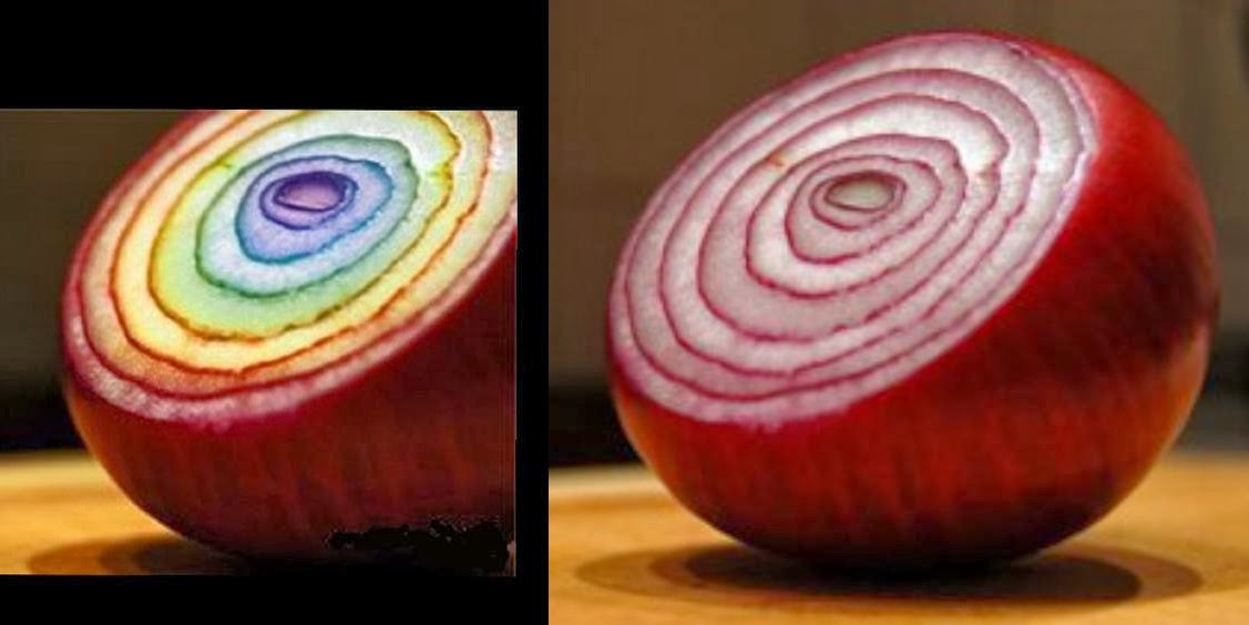 Unfortunately, it seems this rainbow onion is the figment of someone's ...