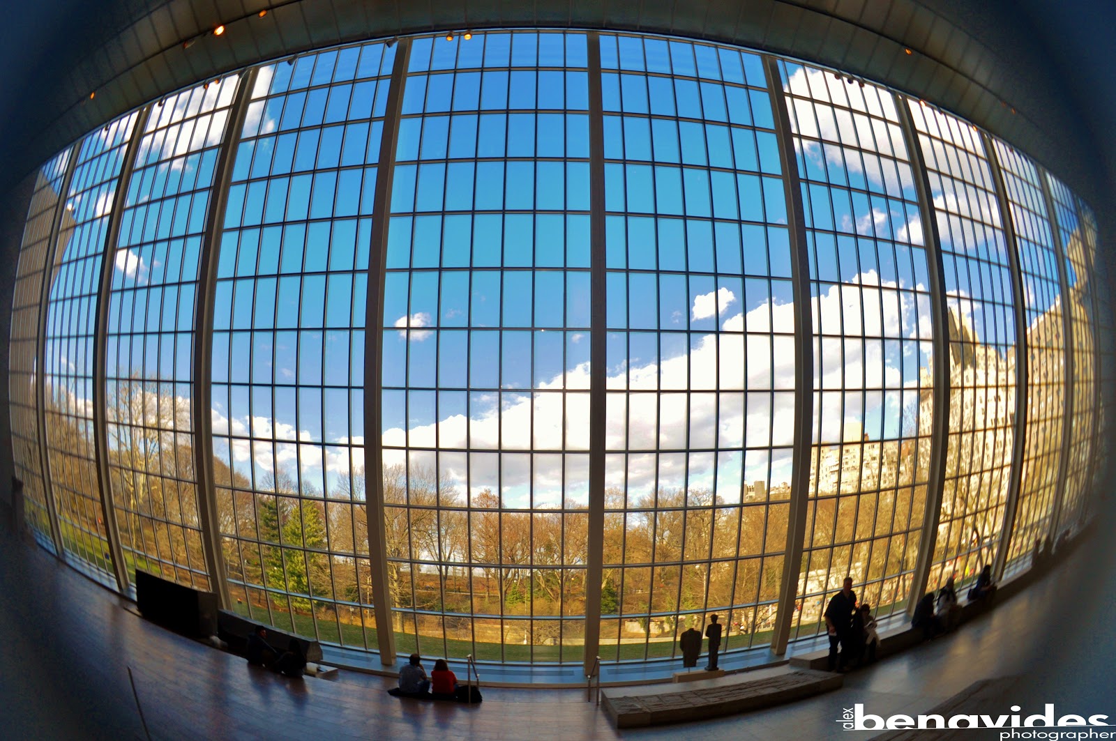 ALEX BENAVIDES: CENTRAL PARK DESDE EL METROPOLITAN MUSEUM