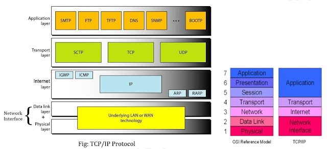 Explain TCP/ IP Reference Model in detail