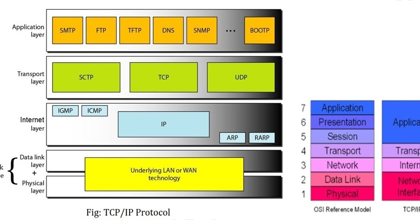 Explain TCP/ IP Reference Model in detail Explain TCP/ IP Reference Model in detail