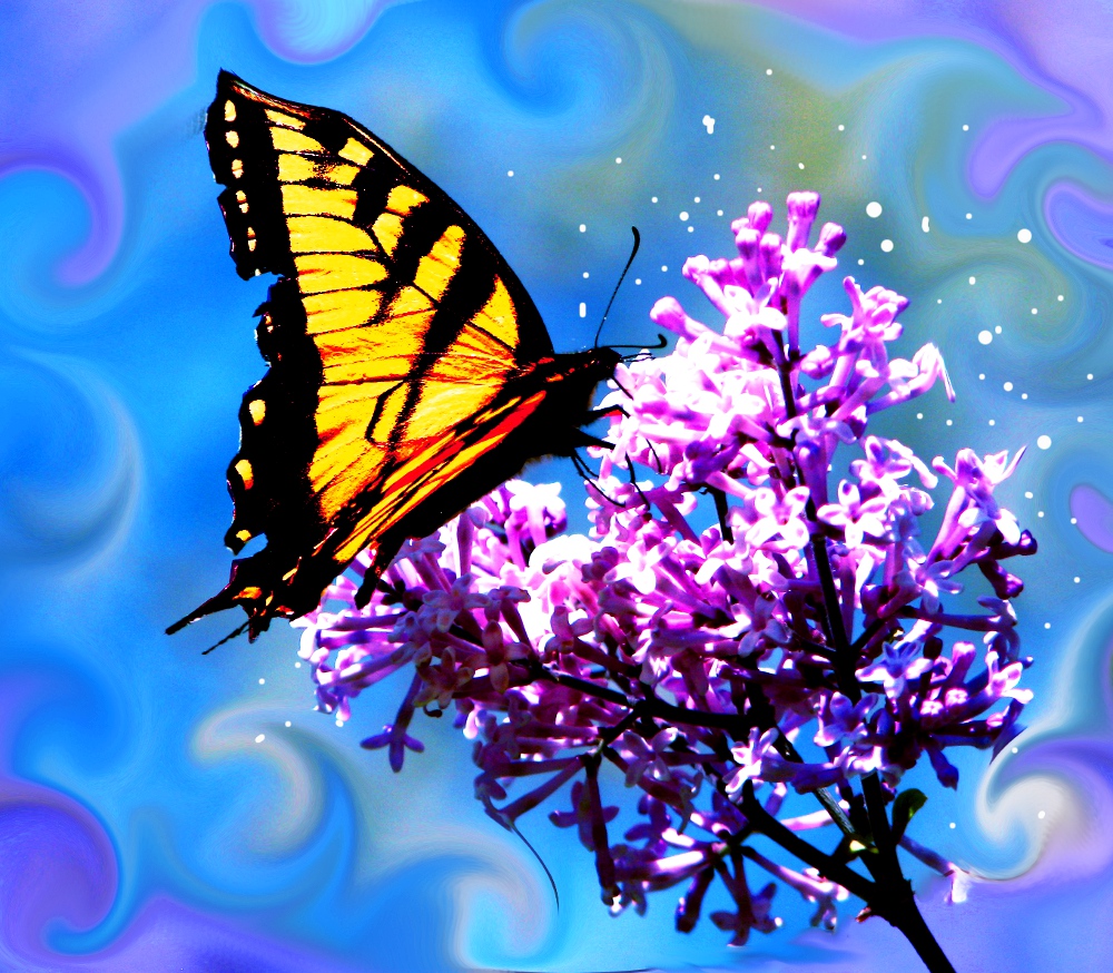 Energy Art and Healing: Butterflies and Lilacs