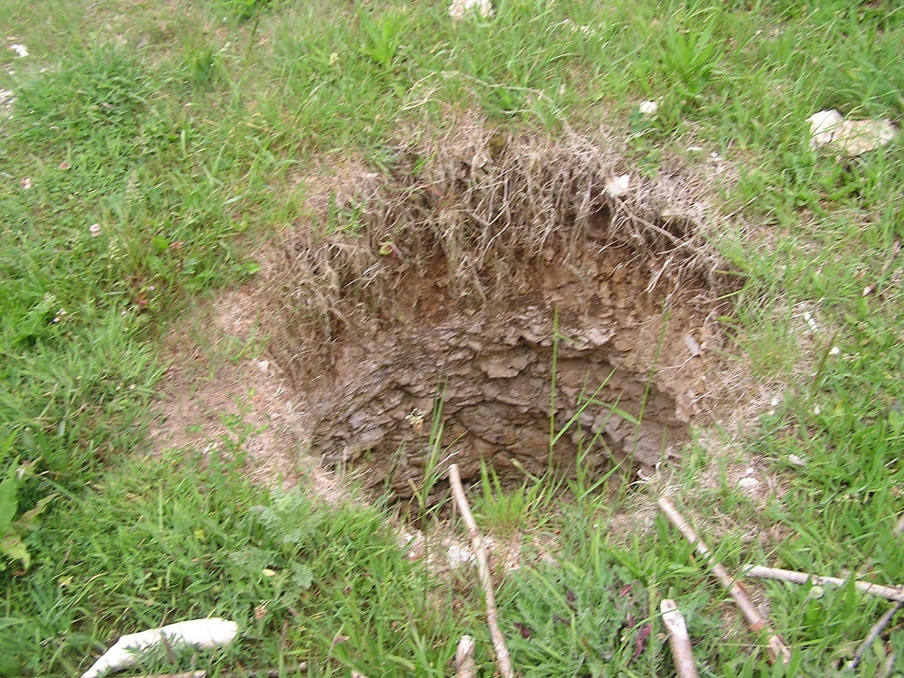 The History Girls: Welcome to the Iron Age! - by Ruth Downie