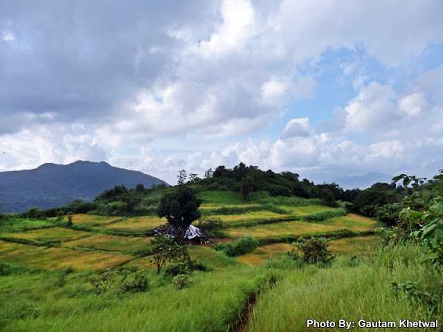 Yeoor Hills, SGNP, Thane: Photos of Yeoor Hills - Part 4