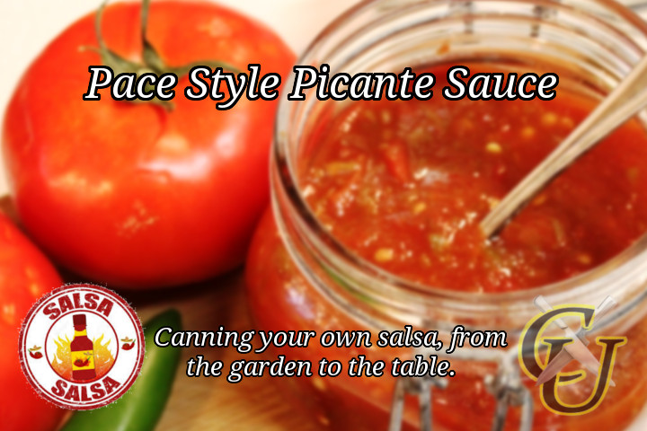 Culinary yoU: Pace Style Picante Sauce