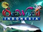Marine Parks Tour: SeaWorld Indonesia - Prospek Bisnis