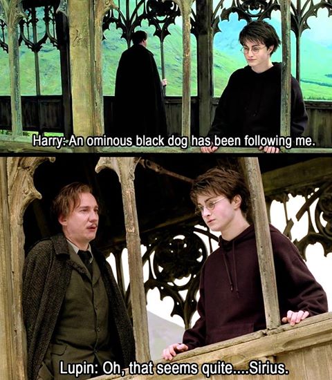 Caveman English: Puns