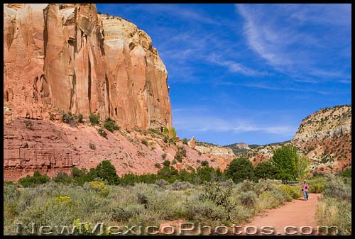 New Mexico PhotoJournal: Trail to Box Canyon