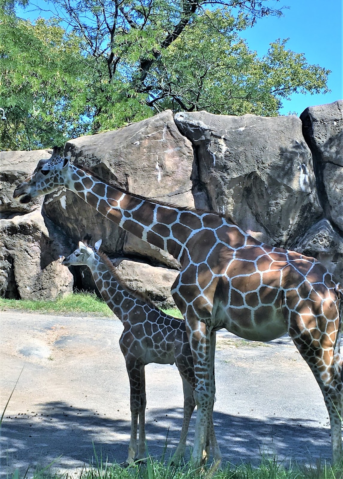 MarkerQuest: The Philadelphia Zoo, Philadelphia, Philadelphia County