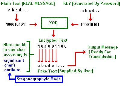 Steganography Attack via PDF File