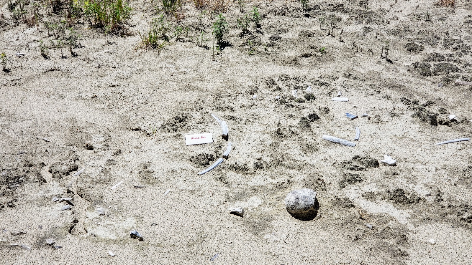 History and Culture by Bicycle: Ashfall Fossil Beds State Historical ...