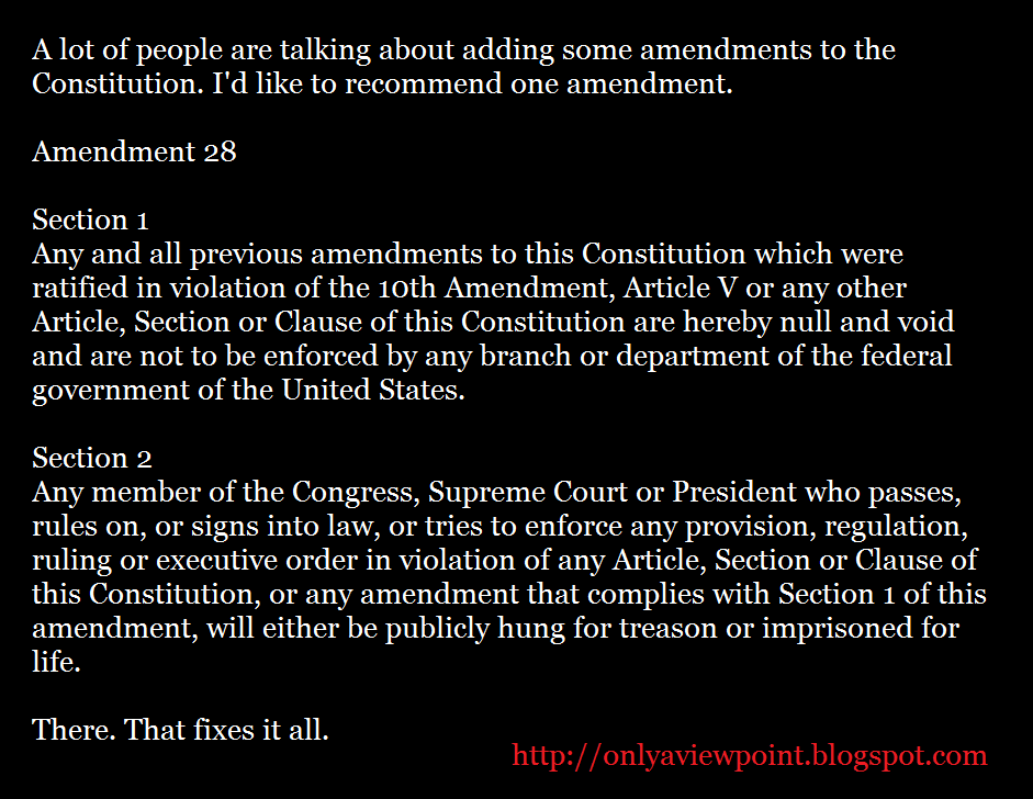 Only A Viewpoint: The 28th Amendment