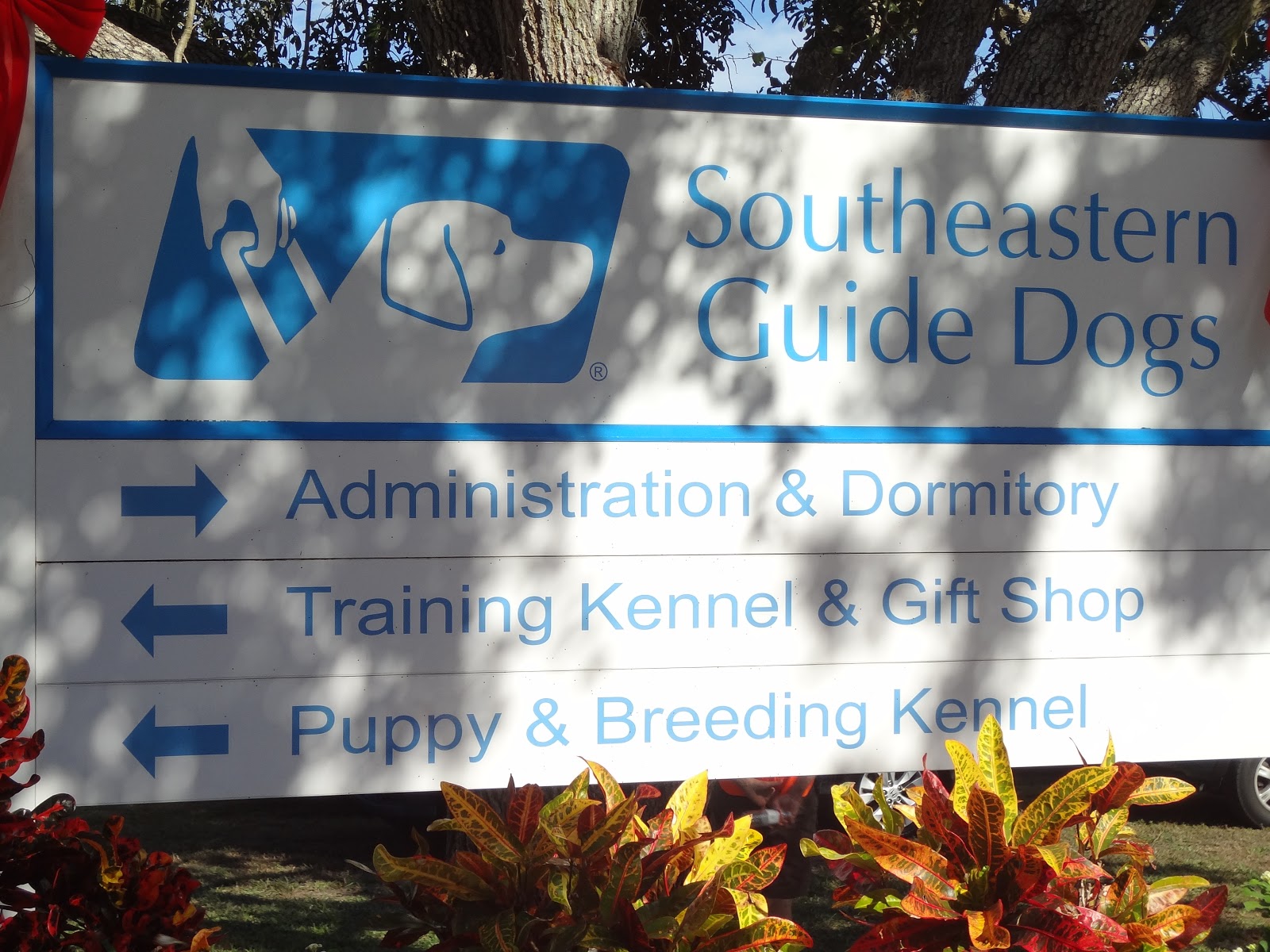 Bradenton Puppy Raisers: Southeastern Guide Dogs Holiday Open House