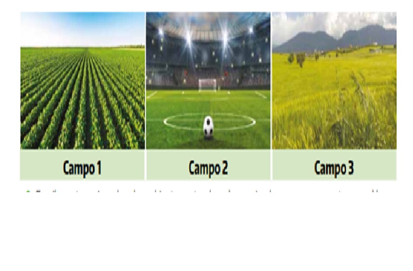 5º C - TURNO TARDE: CIENCIAS NATURALES